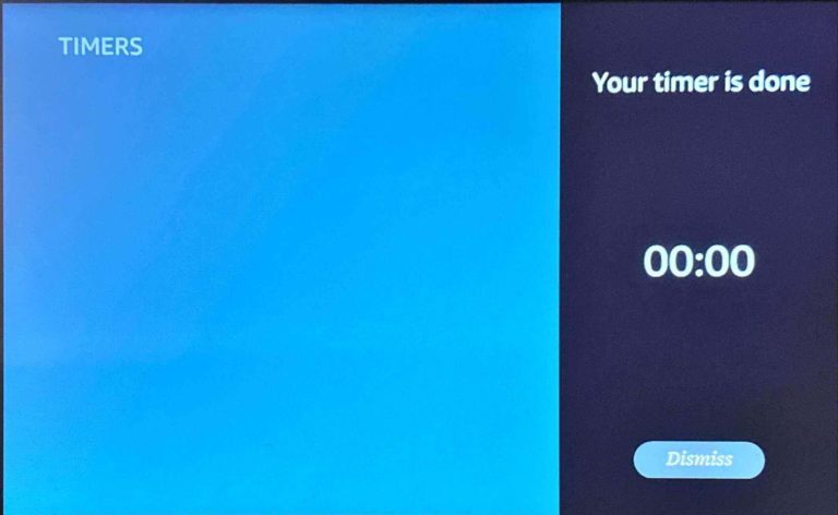 Where Is the Action Button on Echo Show?